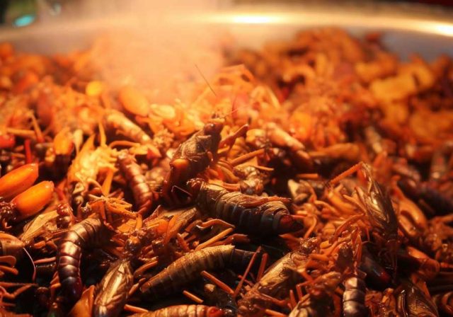 Isaan Food - What You Need to Know