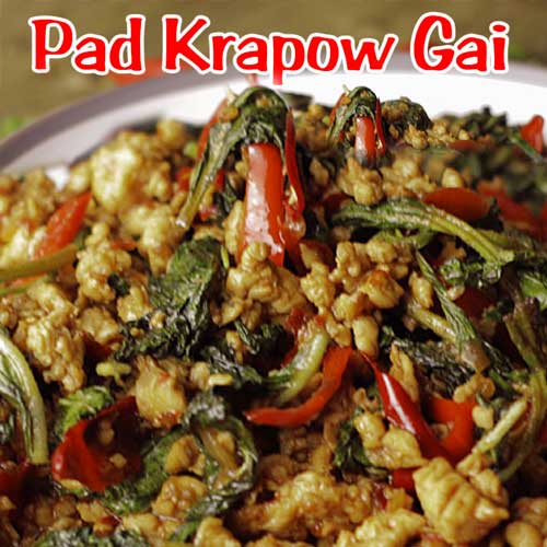 Pad Krapow Gai Recipe